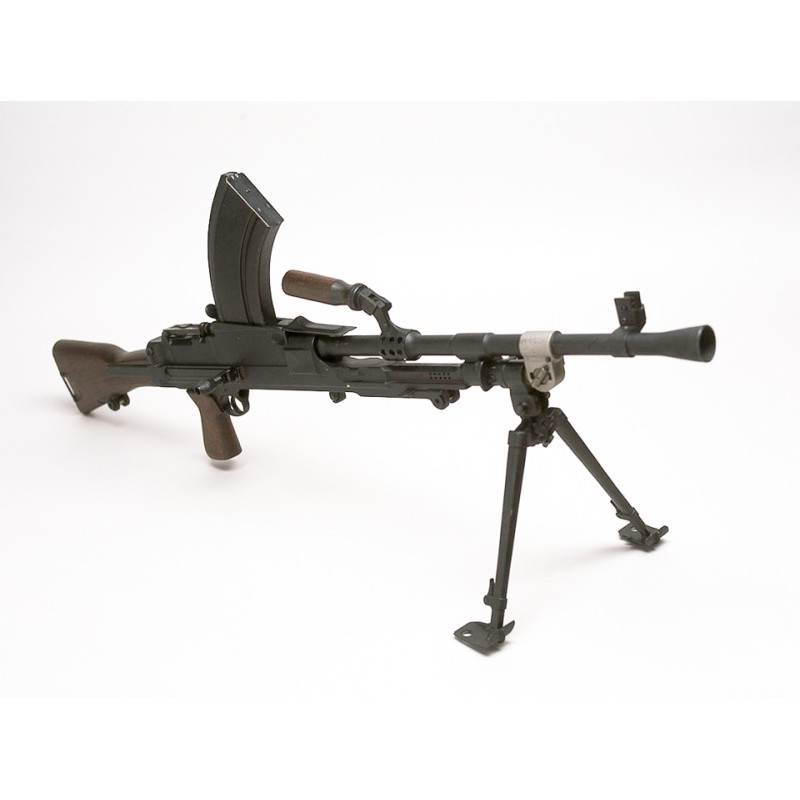 Bren Variants Build Services